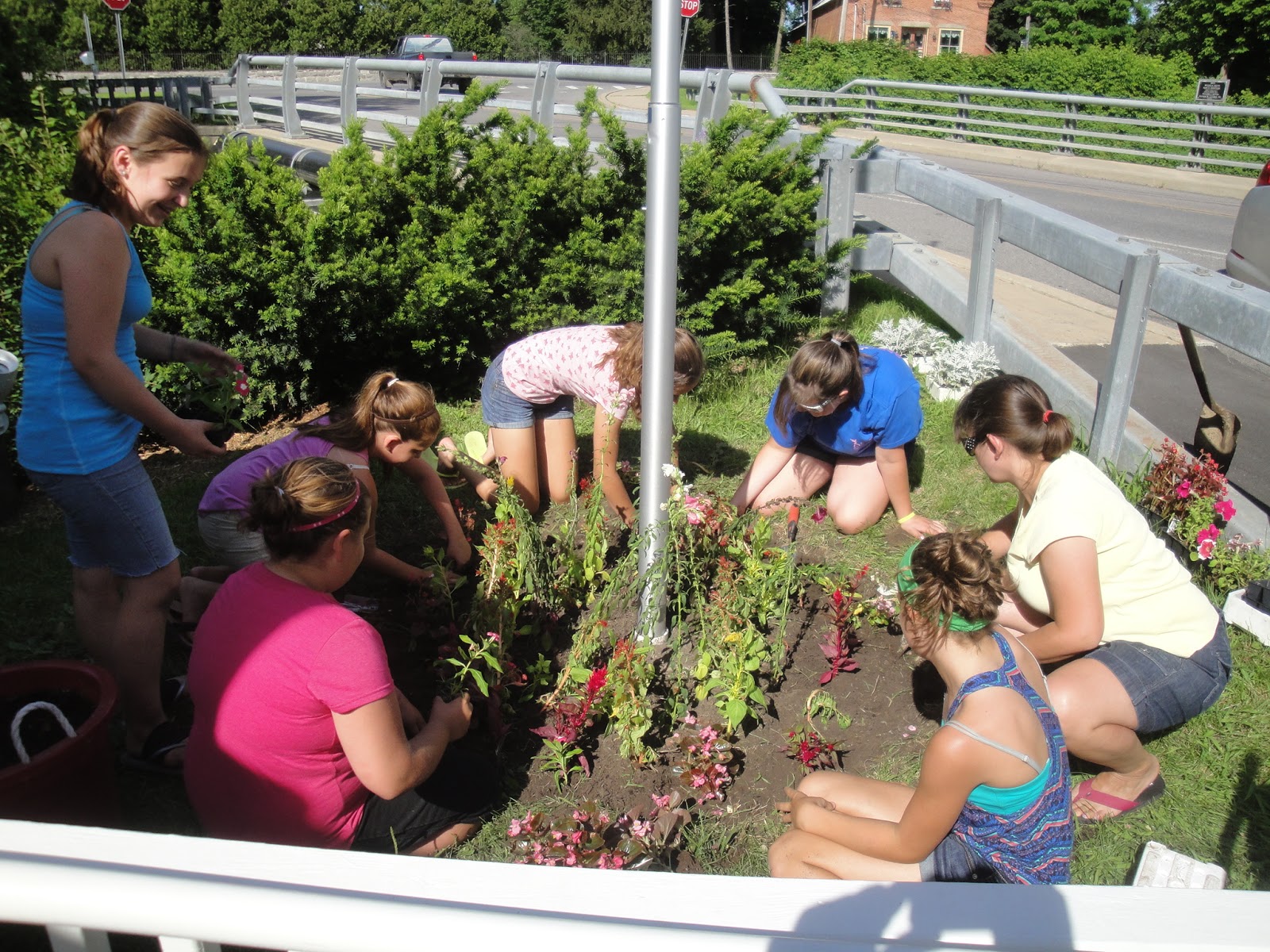WHAT'S HAPPENING!: Girl Scouts Plant Flowers
