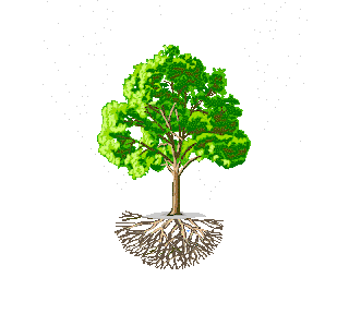 AKI GIFS: Gifs animados Árvore