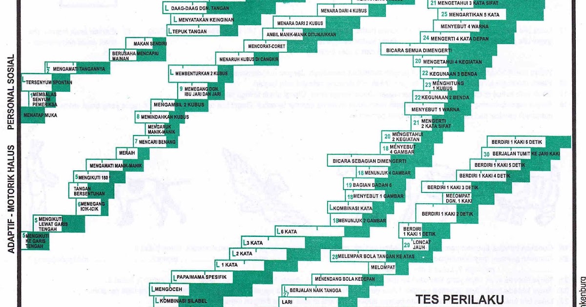 Menjadi Perawat: Keperawatan anak Denver Development Screening Test ...