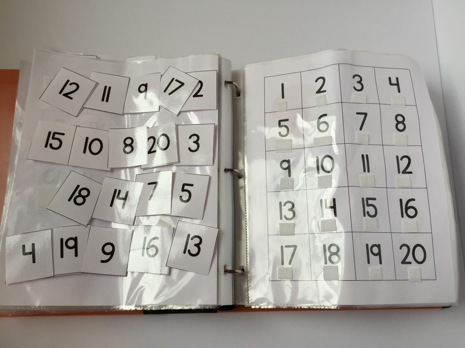 Miss Martel's Special Class: Adaptive Work Binder