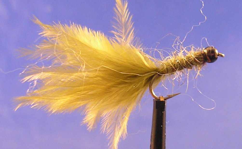 Fly Tyer Man: Wooley Buggers