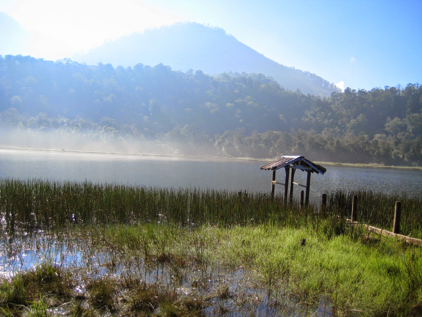 Gunung Argopuro Jalur terpanjang se Jawa | Gunung Kita