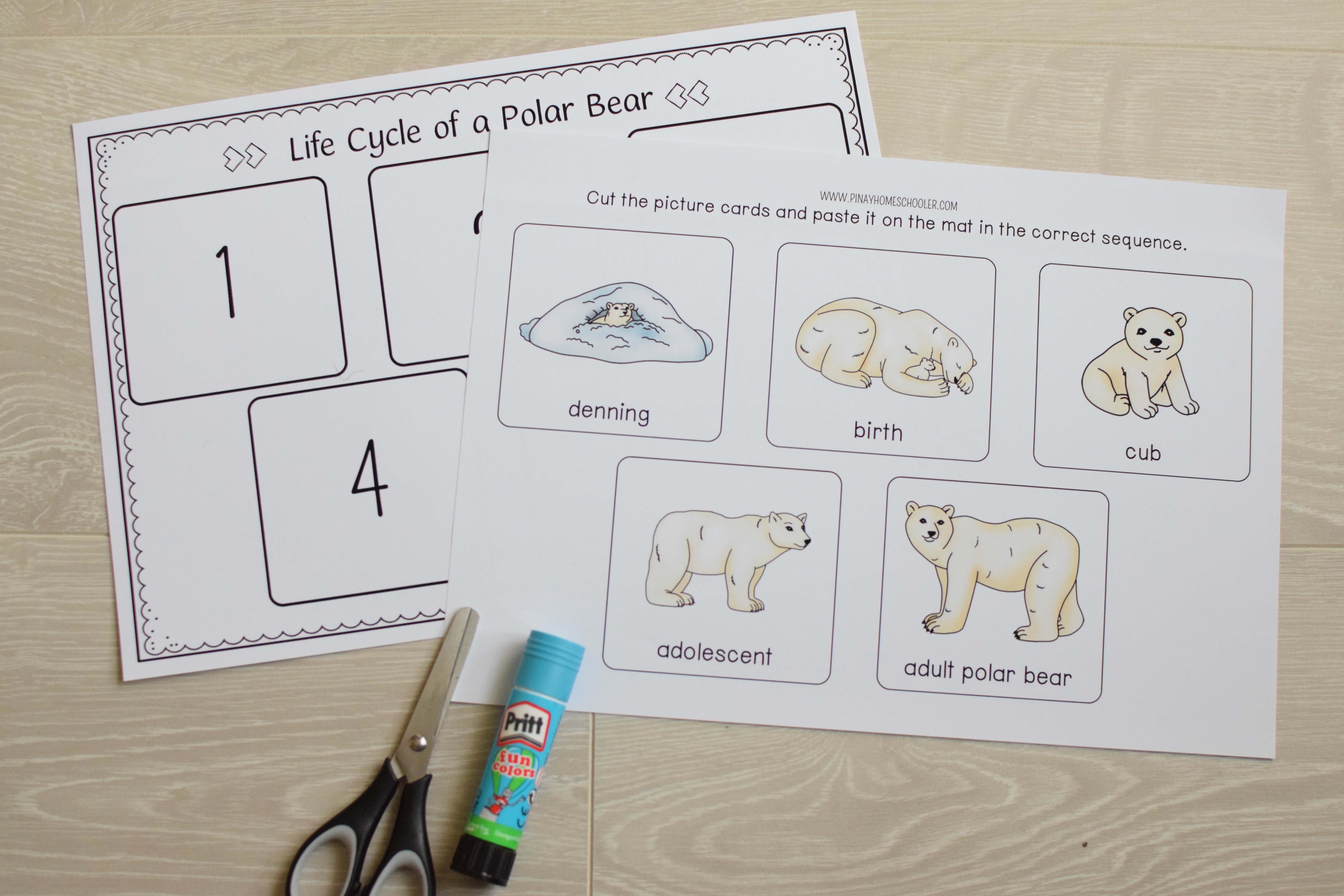 Winter Animal Life Cycle Studies | The Pinay Homeschooler