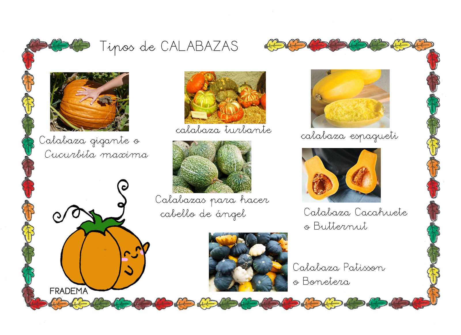 ¿Qué puedo hacer hoy?: Comprensión lectora: A través de la ventana