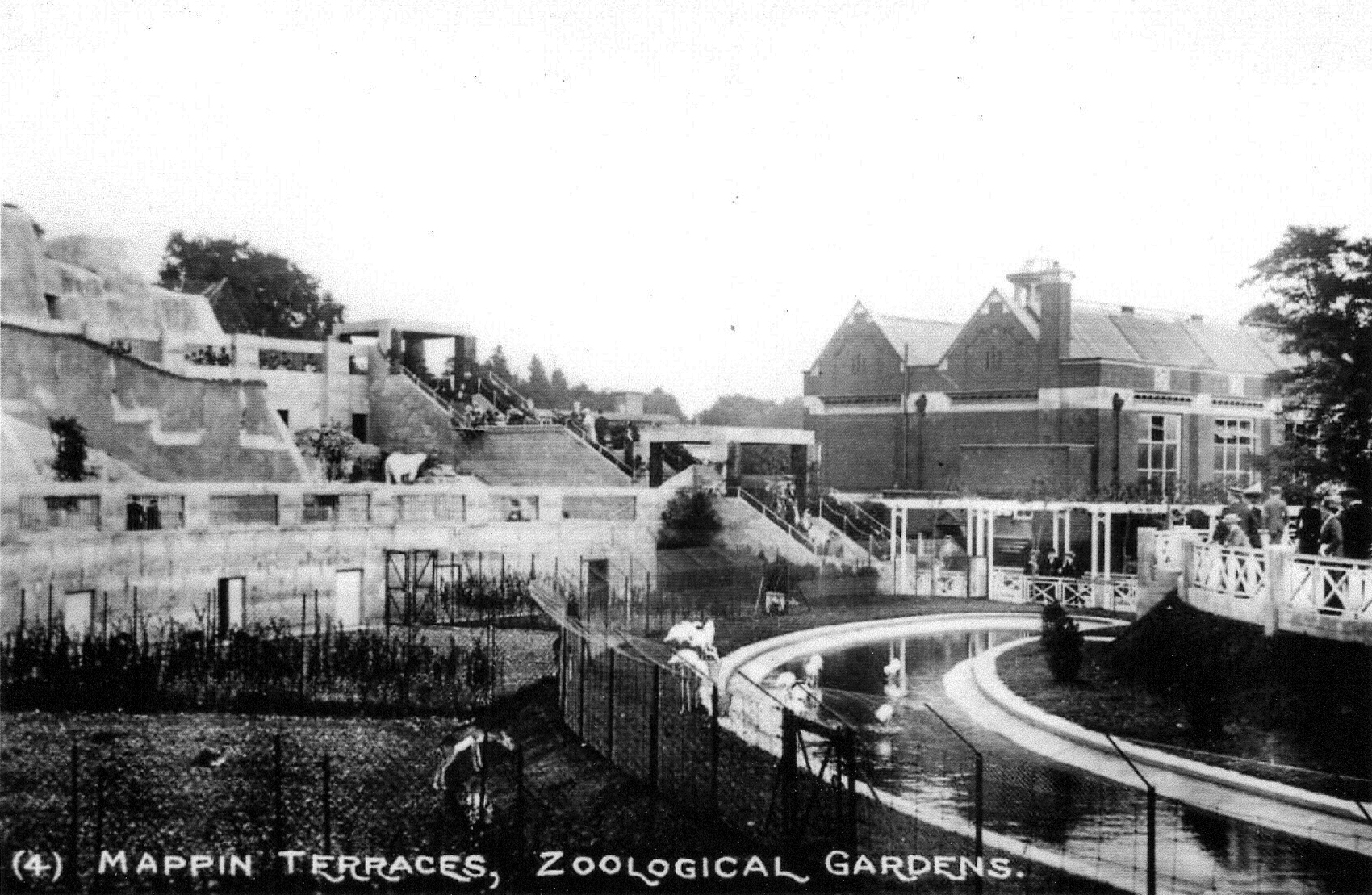 Zoology Jottings: Primates at the Zoo in Victorian London: Matters of ...