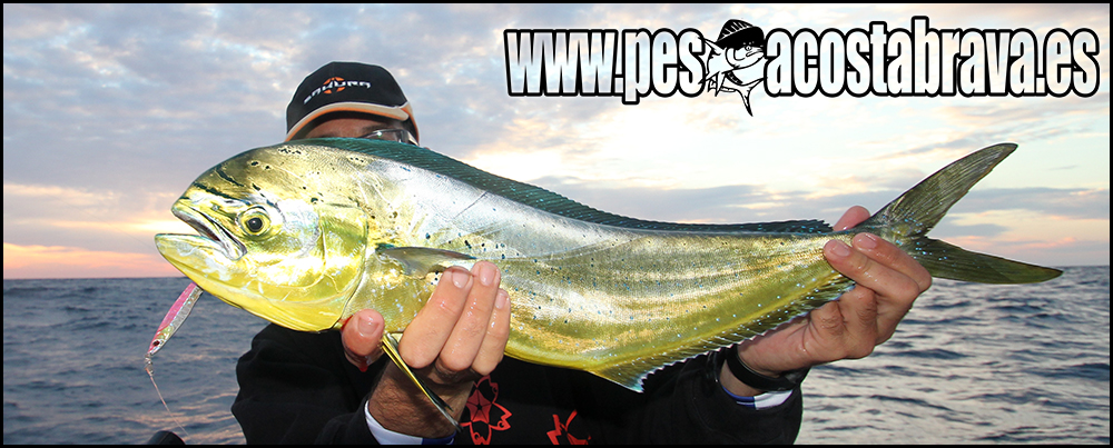 8-11 SEPTIEMBRE-SEGUIMOS CON LAS LLAMPUGAS AL SPINNING