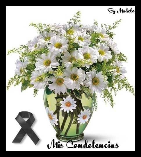 DE TODO Y PARA TODOS: DIANA... MIS SENTIDOS PÉSAMES