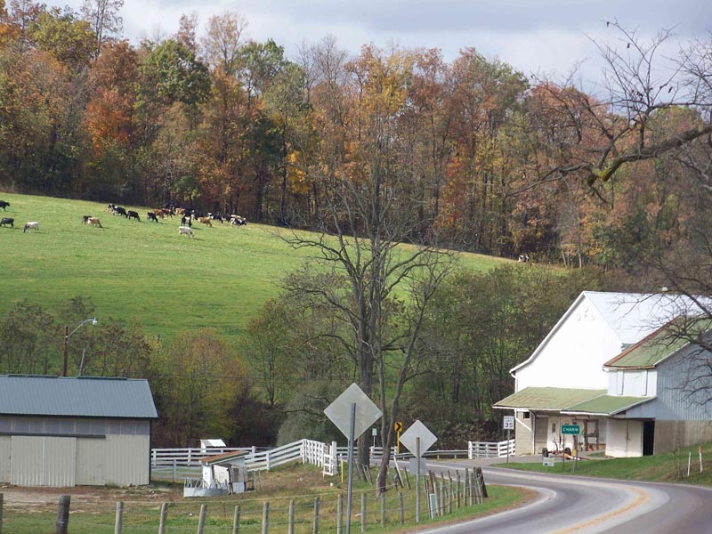 The power of words . . .: Review + GIVEAWAY: A Son's Vow