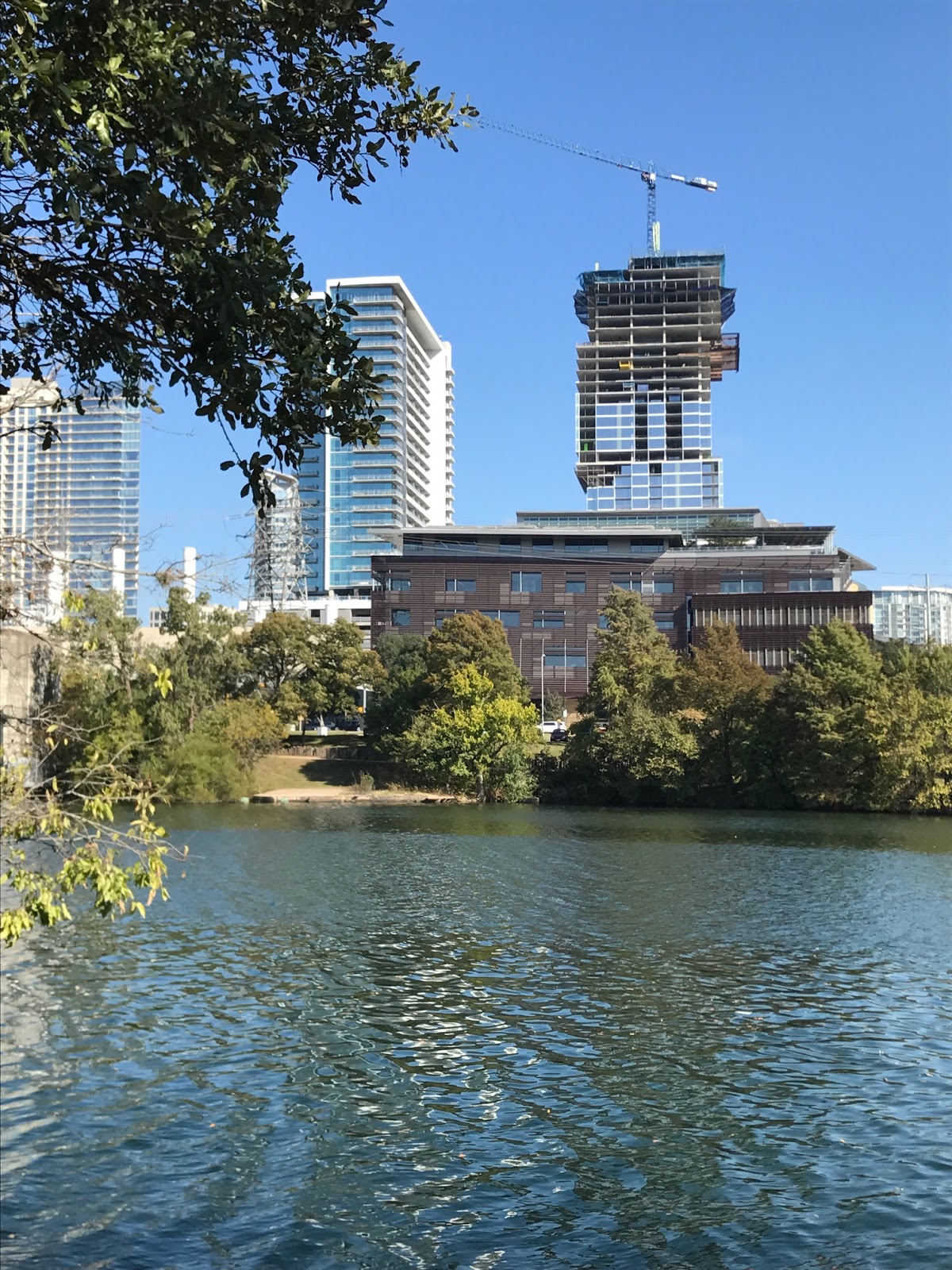 Austin, Texas Daily Photo: The tallest yet