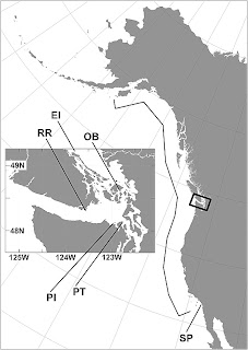 Geoducks: a success story: Background