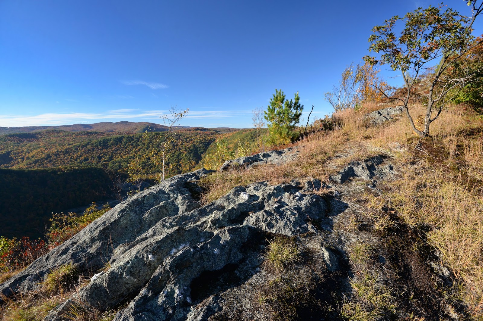 Northeast Adventures: Finding Negus