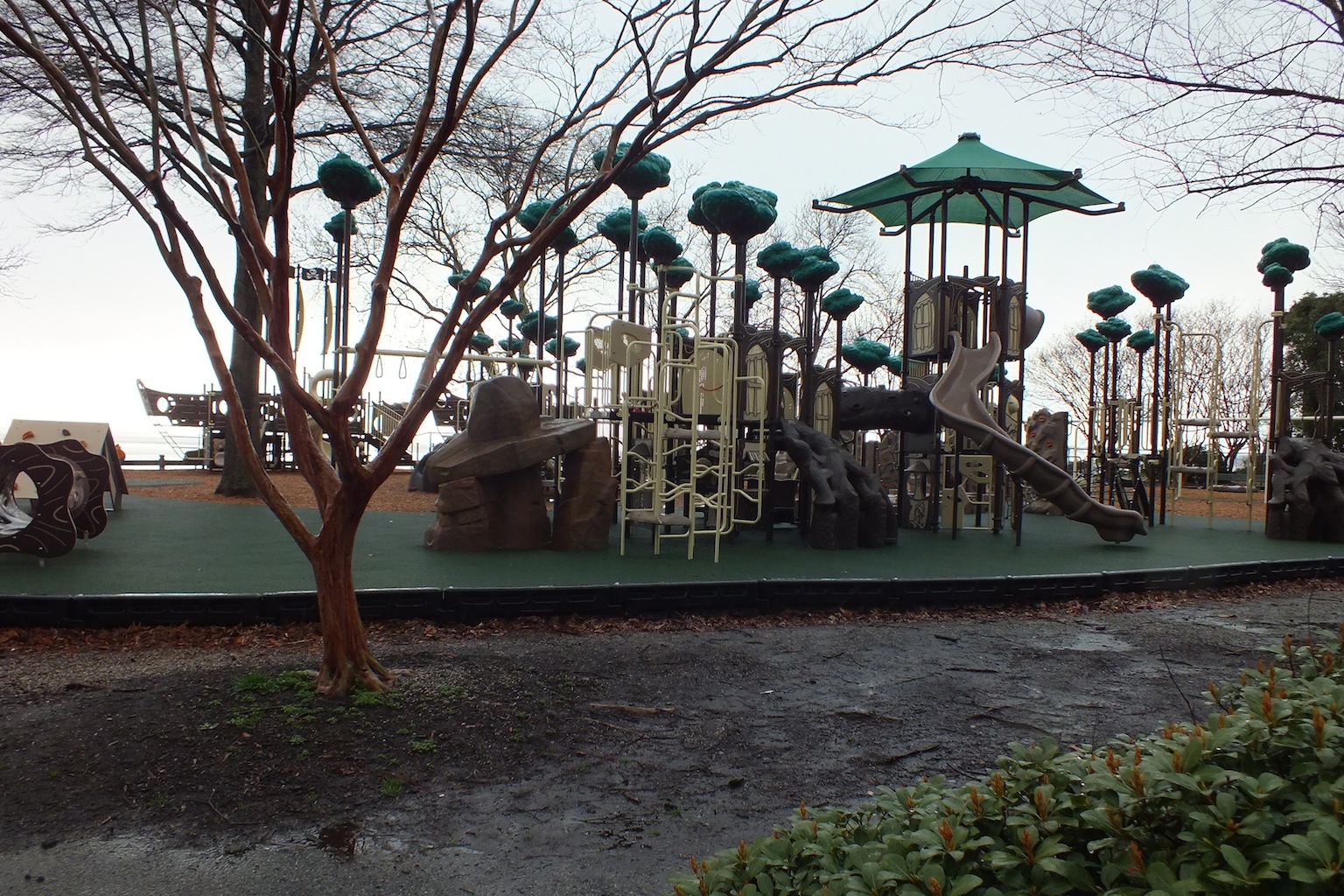 Gene's Garden: Winter Walk in Huntington Park
