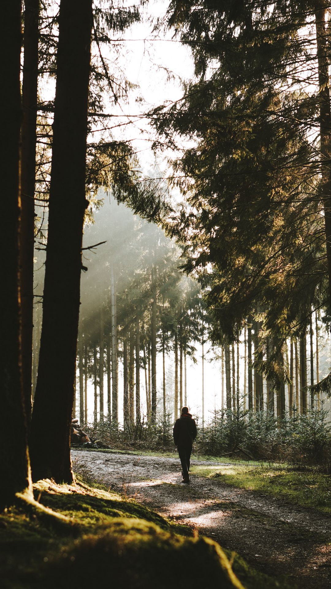 Man Walking Alone In The Forest