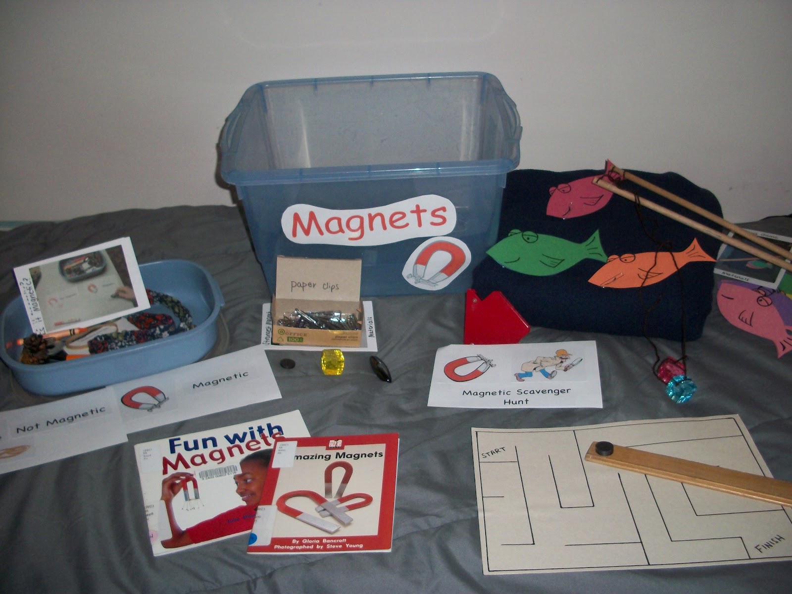 Pk- 4 Science Methods: Science Investigation Box