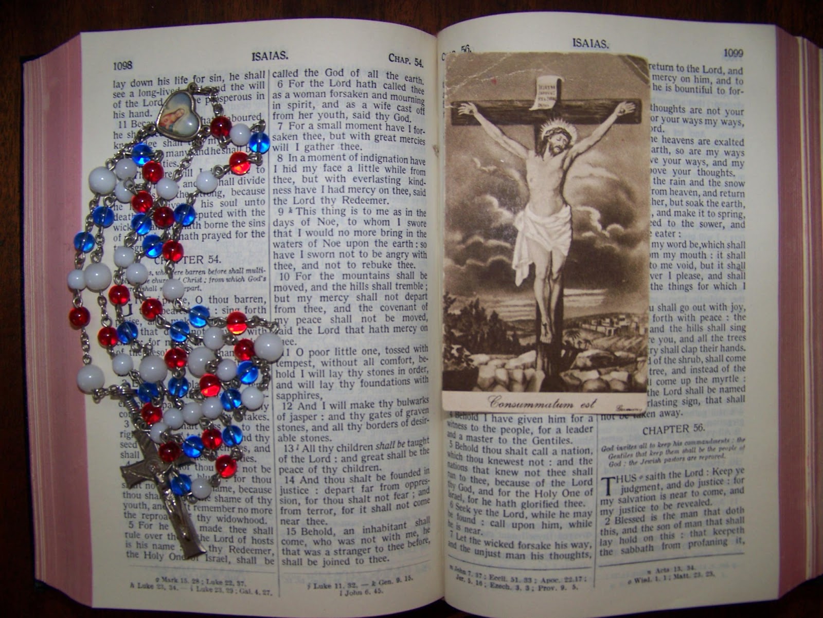 mommynovenas Catholic Book Club : A Glimpse Into Heaven mommynovenas Catholic Book Club : A Glimpse Into Heaven