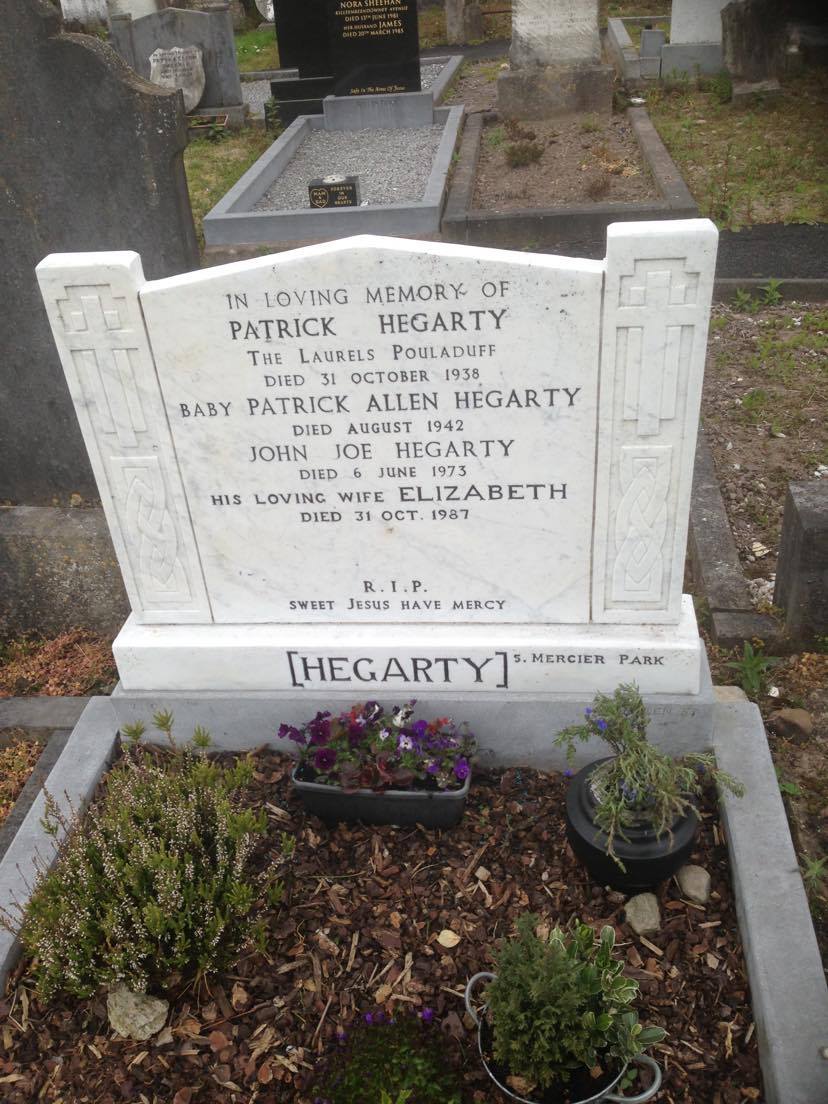 Togher Historical Association: The Laurels - Hegarty Family - Part 04 ...