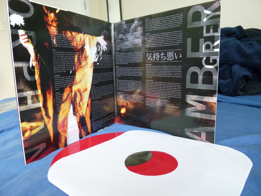 PERPETUAL STRIFE: 2011 From a Vinyl Collecting Nerd