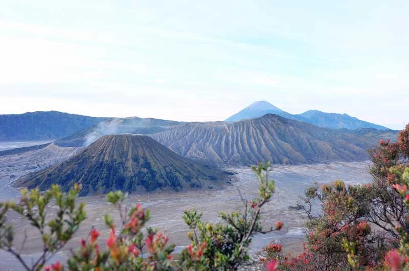 Gunung Bromo - Daya Tarik, Fasilitas, Harga Tiket Masuk, Rute - NgeTrip