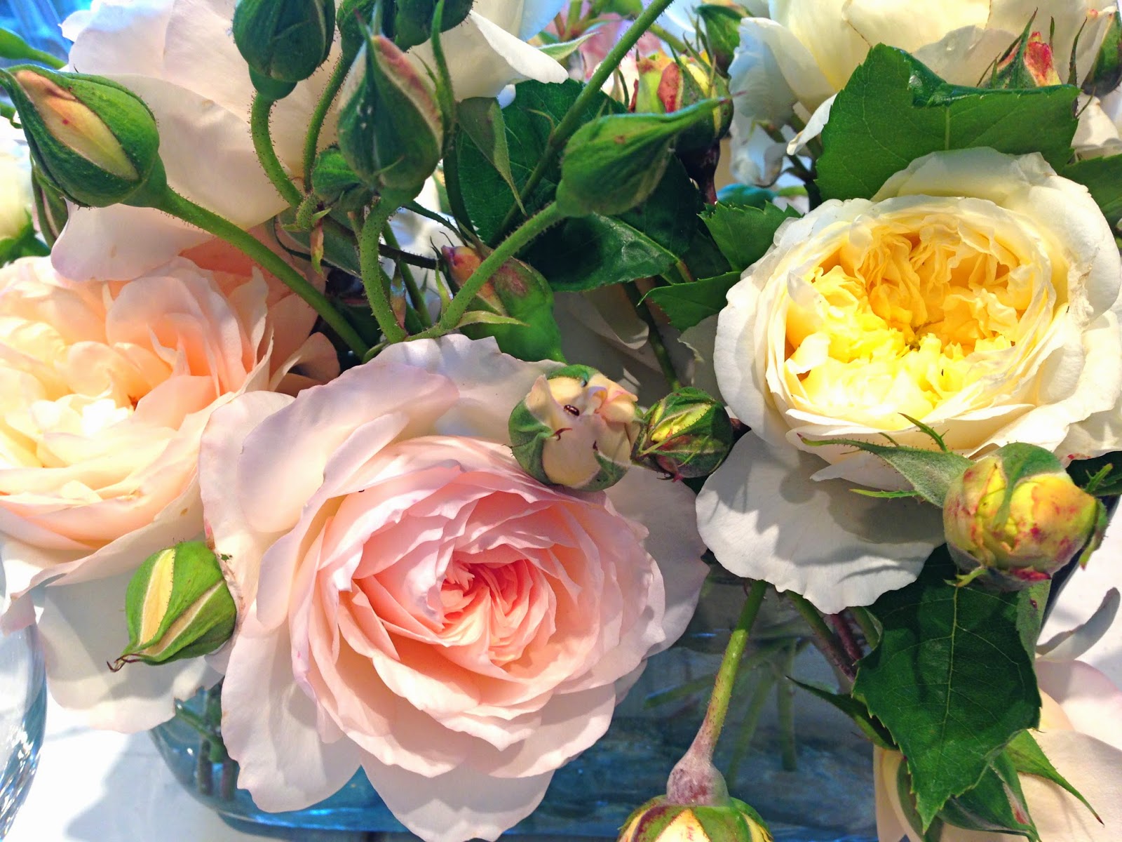 chili size - Knitionary