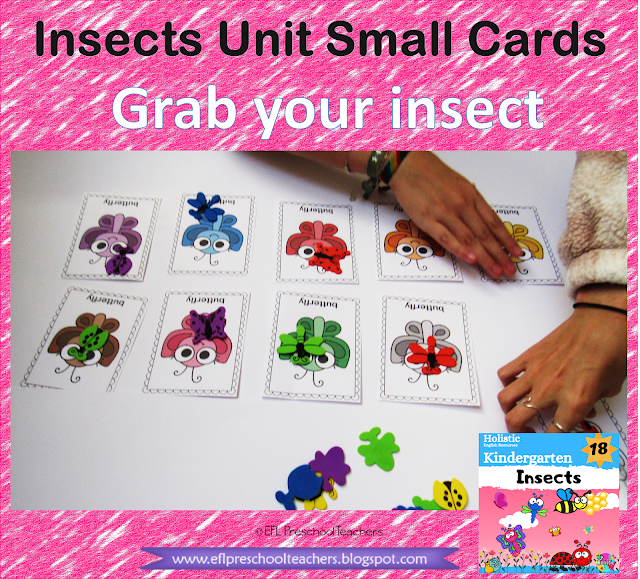 ESL/EFL Preschool Teachers: Insects small cards for teaching ...