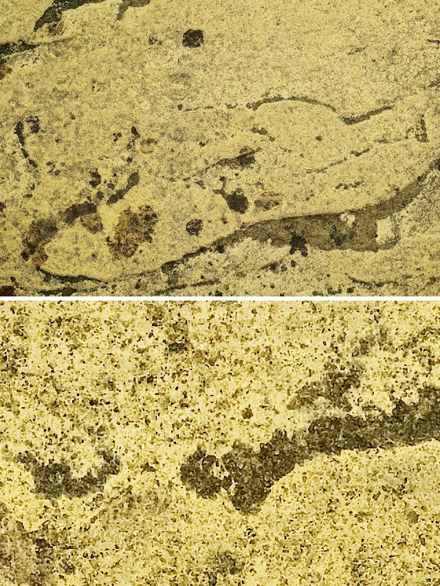 HIGH RESOLUTION TEXTURES: Stone texture yellow