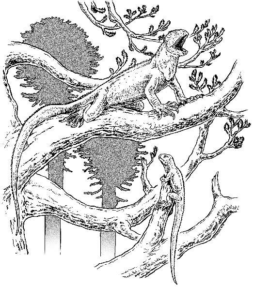 Waxing Paleontological: Very Specific Strange Reptiles