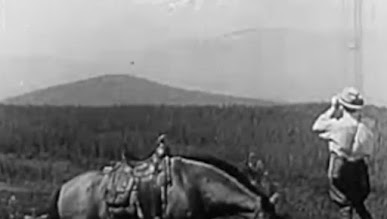 PA Environment Digest Blog: PA Forestry Assn. PA's Conservation ...