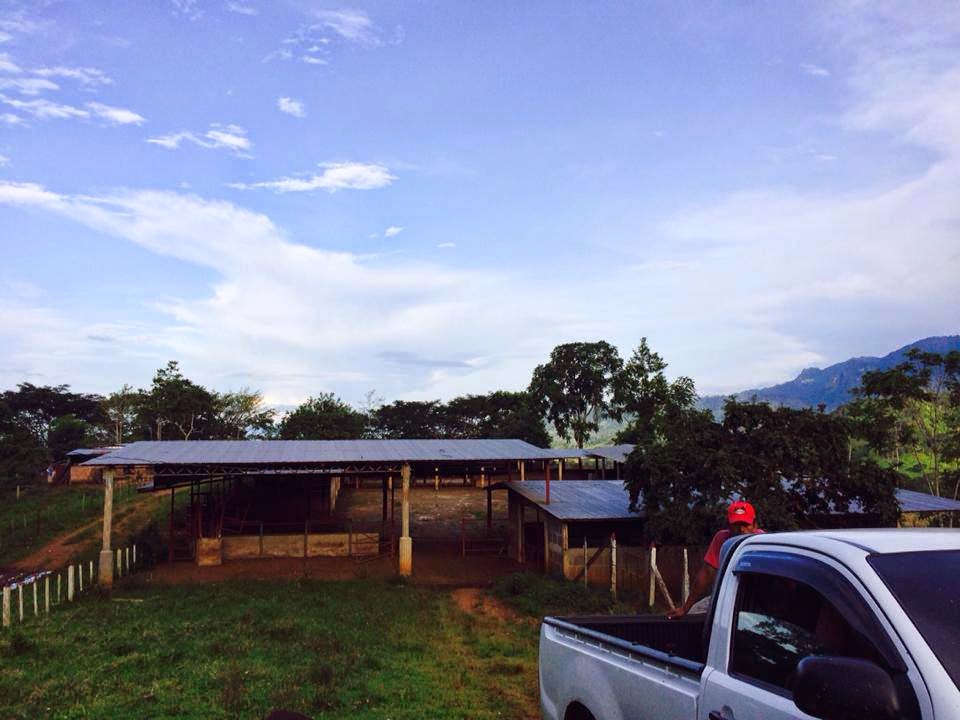 FINCA DE 520 MZ EN MATIGUAS MATAGALPA | Bienes Raíces Nicaragua