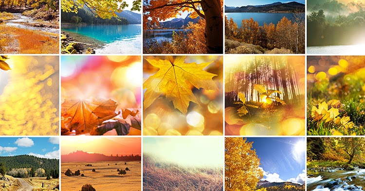 Top 5 Free Photo Collage Templates