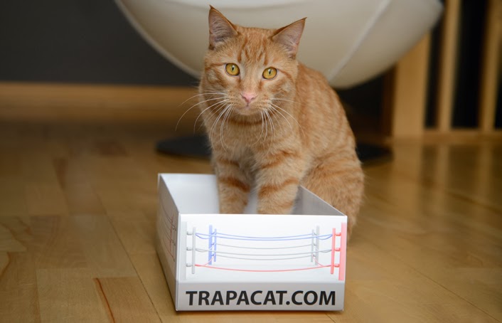 GLOGIRLY: Trapacat Tussle In The Townhouse & GIVEAWAY!