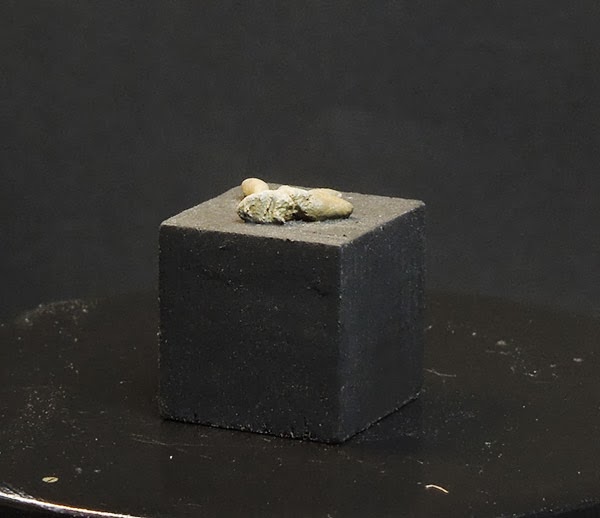 Symphony of Poo | planetFigure | Miniatures