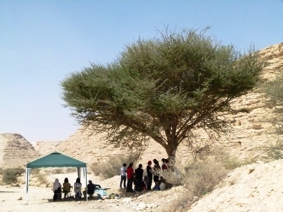 the viewing deck: Hidden Valley of Riyadh Province