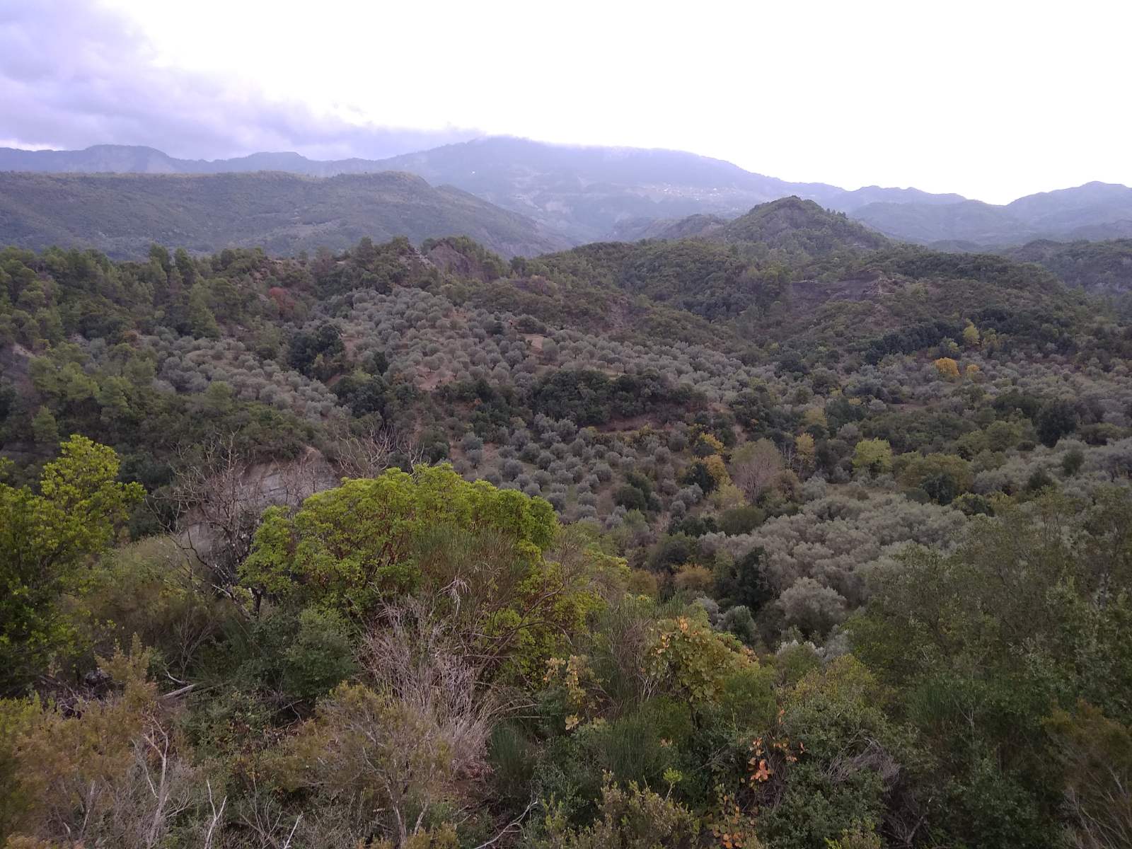 Παρακαμπύλια Νέα