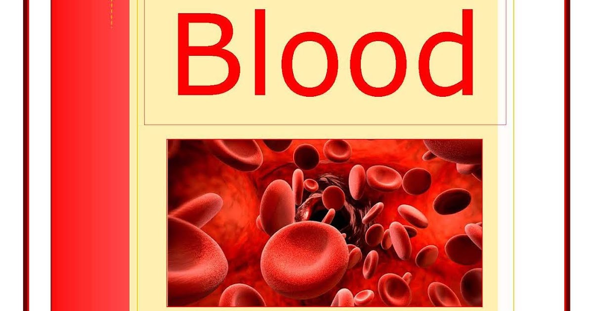 Blood Anatomy And Physiology Medical Yukti blood-anatomy-and-physiology-medical-yukti