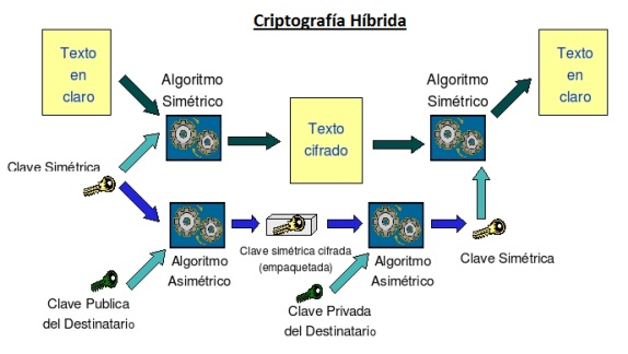 Procesos y servicios. Programación segura (IV). Criptografía con Java | Programando a pasitos