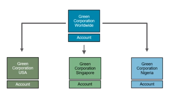 The Oracle Prodigy: Configuring Payment Relationships for Customers in ...