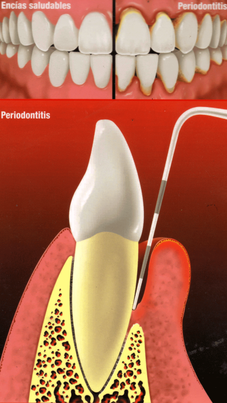 CENTRO ODONTOLOGICO BENAVIDES