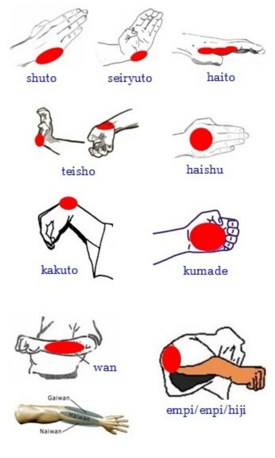 Karate Quick Guide Blogspot | New Delhi: Body Parts