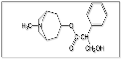 Extraction and identification of Atropine from belladona leaves