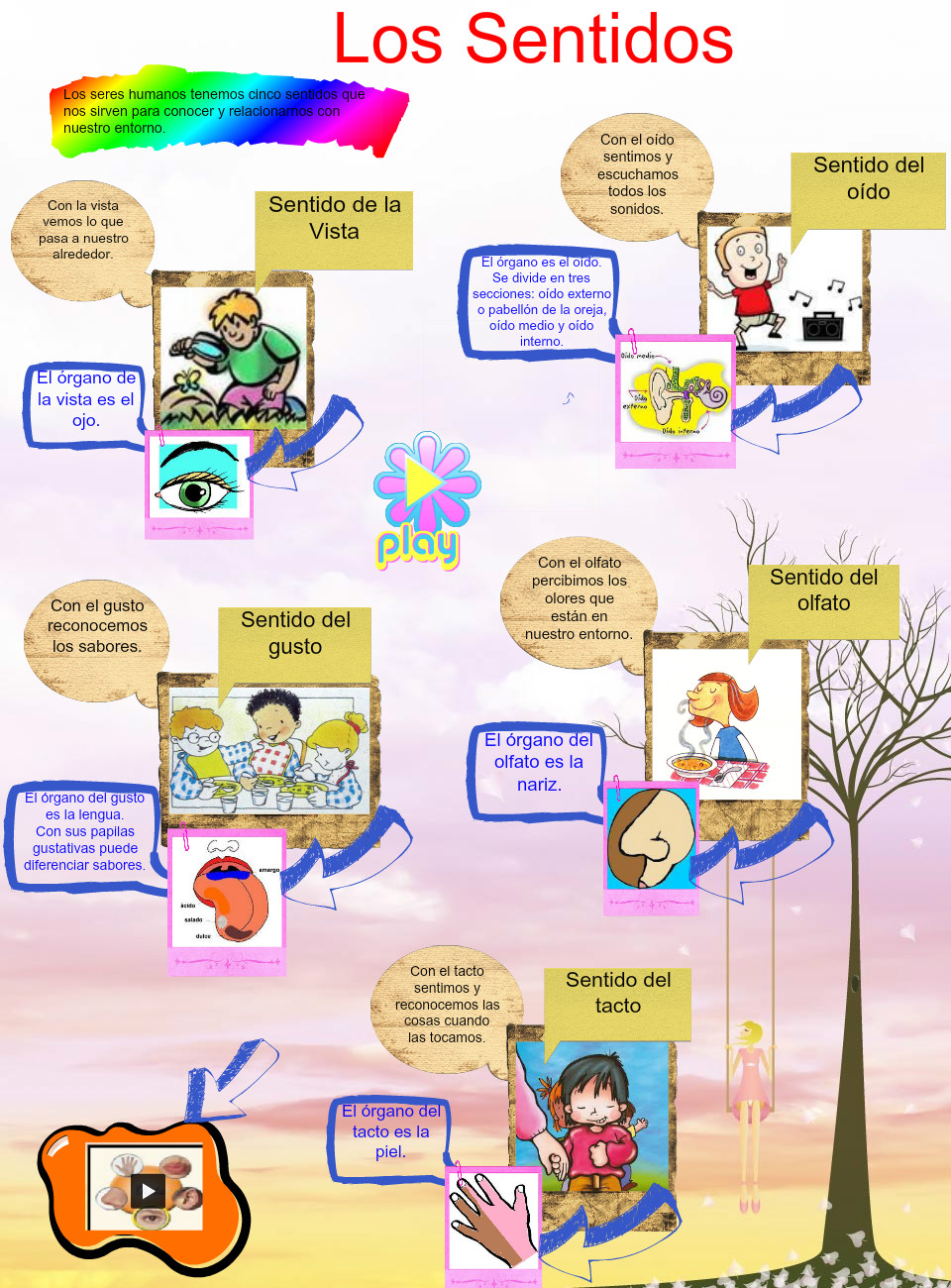 los sentidos