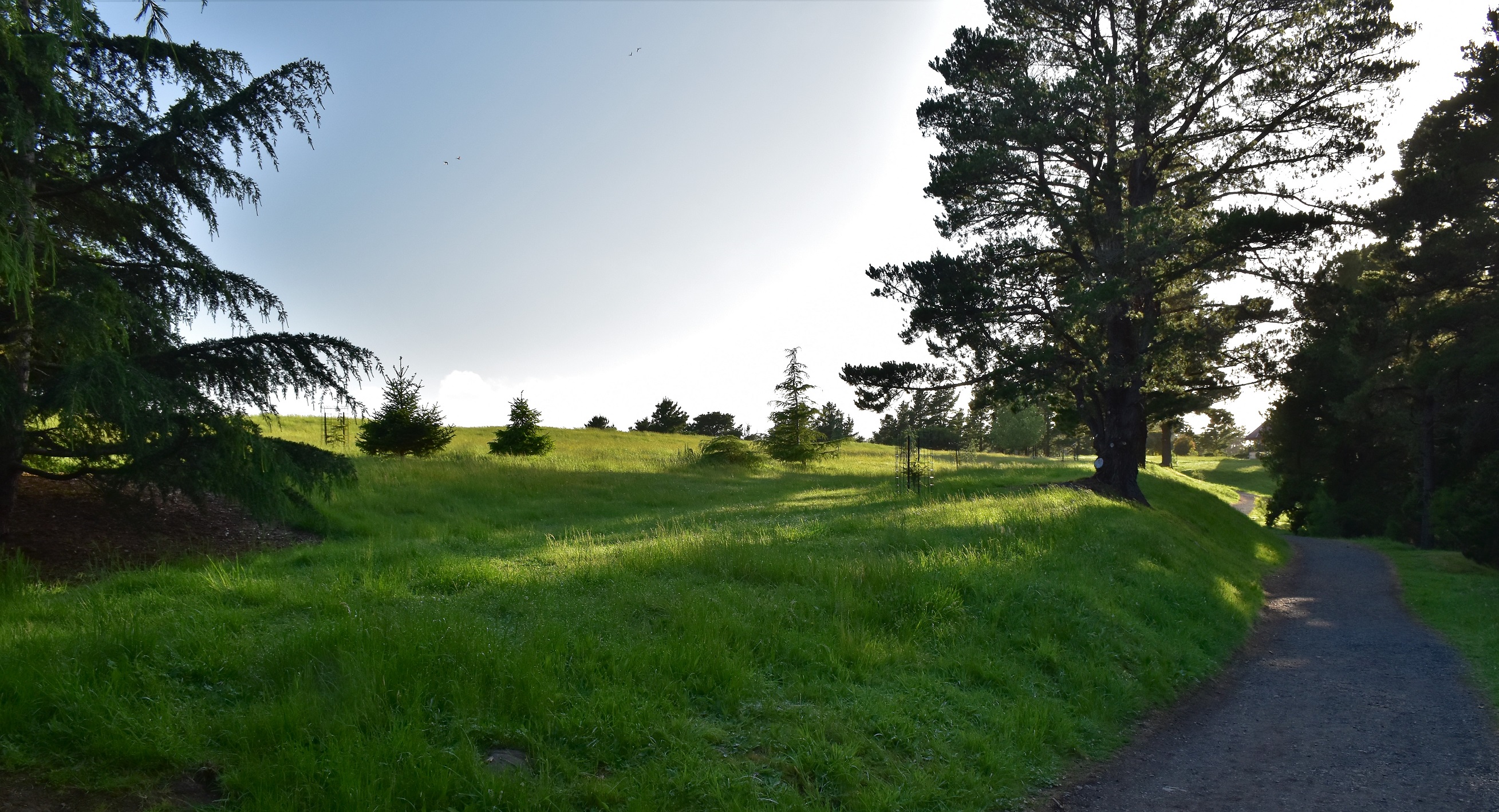 Goin' Feral One Day At A Time: Wilson Botanic Park Walk, Berwick ...