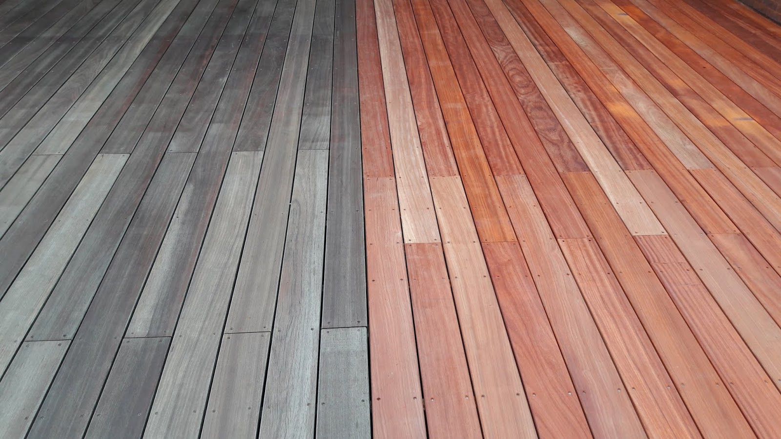 Hoe vergrijst Padoek? | De Terrasreiniger