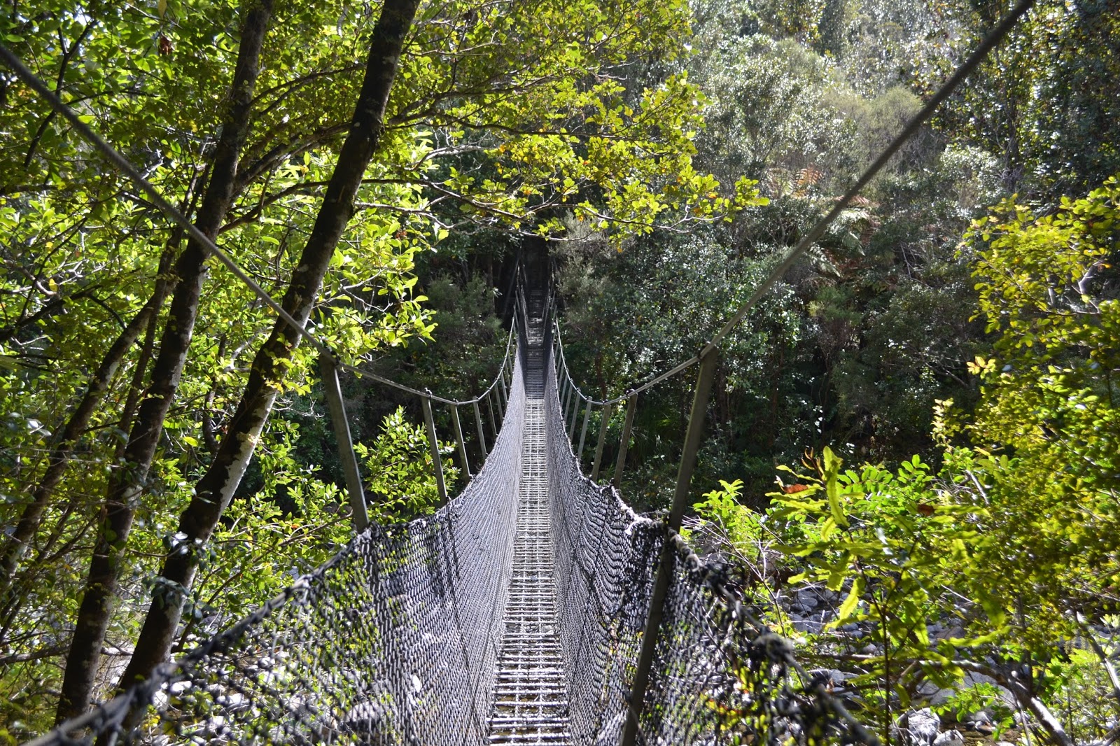 Adventure New Zealand : Coromandel Forest Park