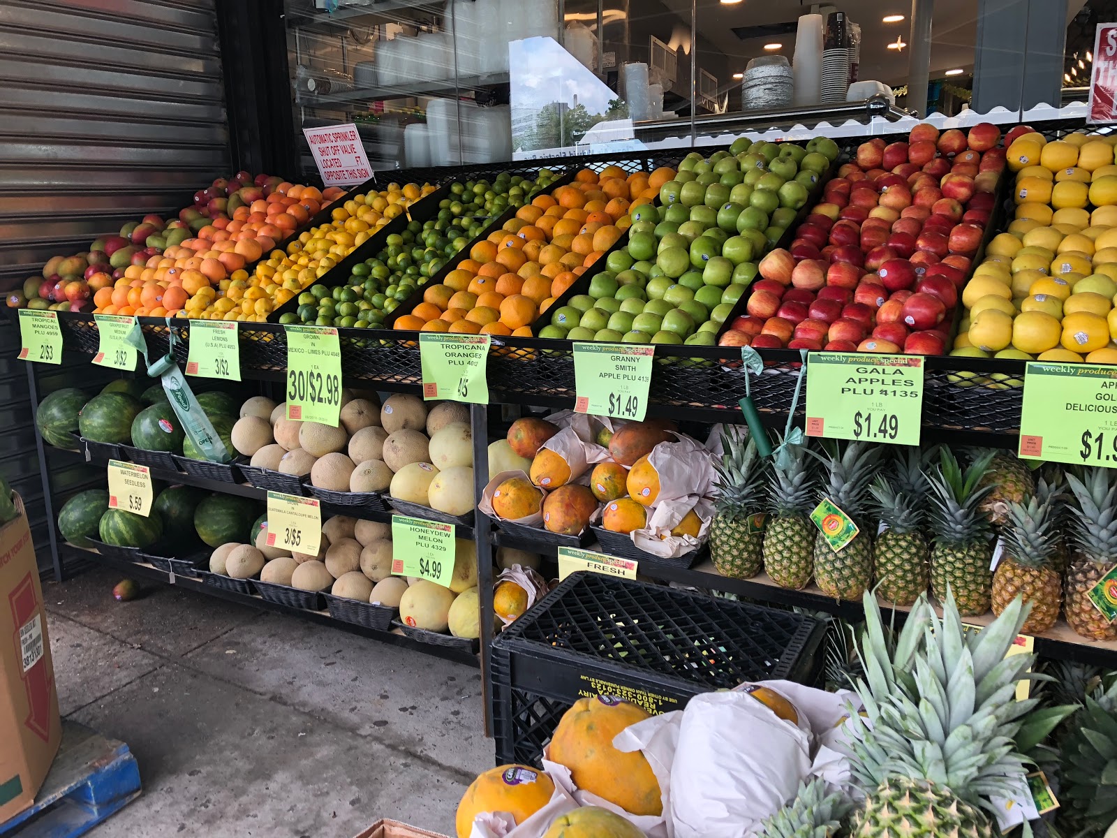 TOUR: Food Universe Marketplace - Fordham Heights North