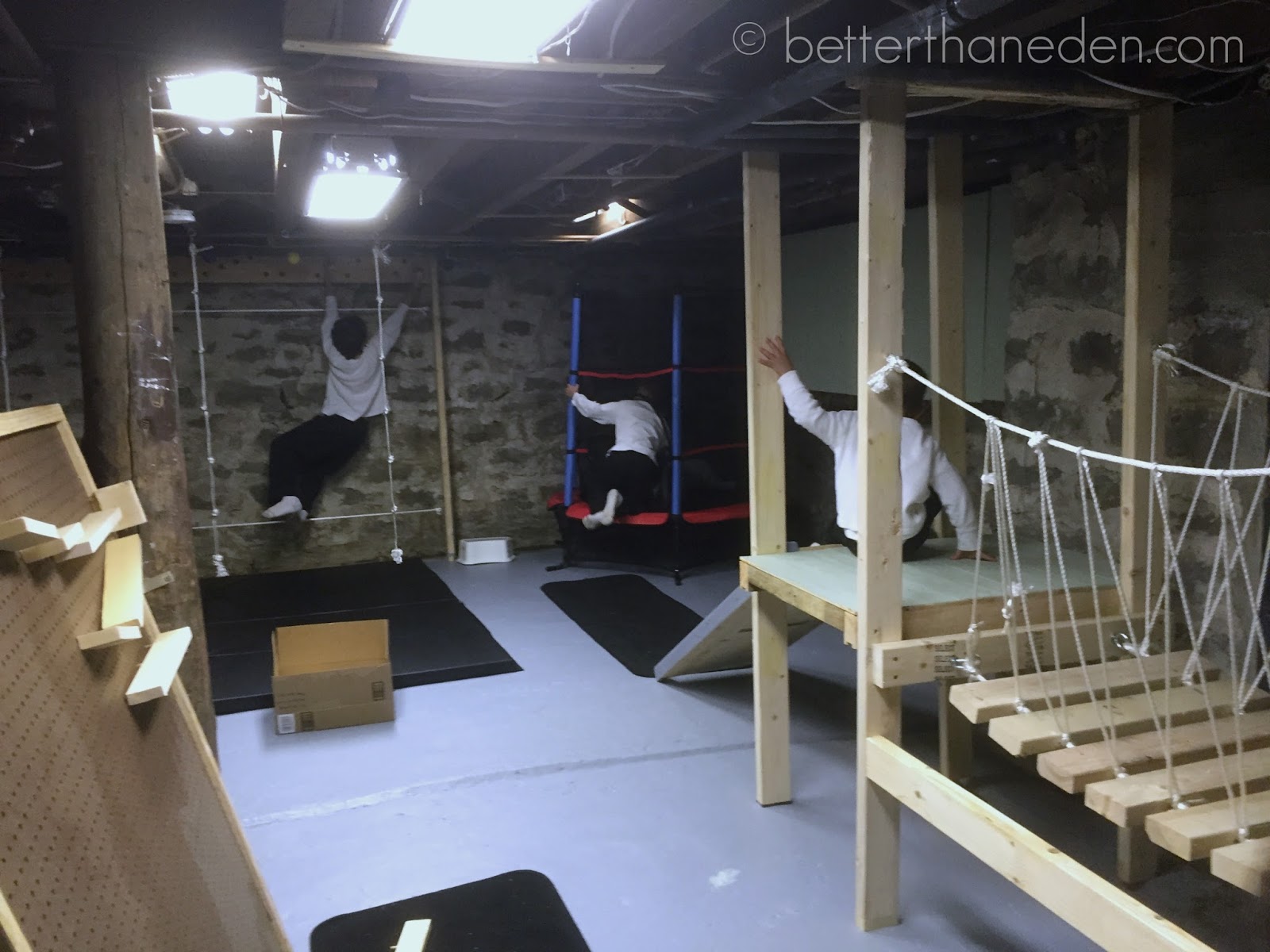 A Basement Gym for the Boys - Mary Haseltine
