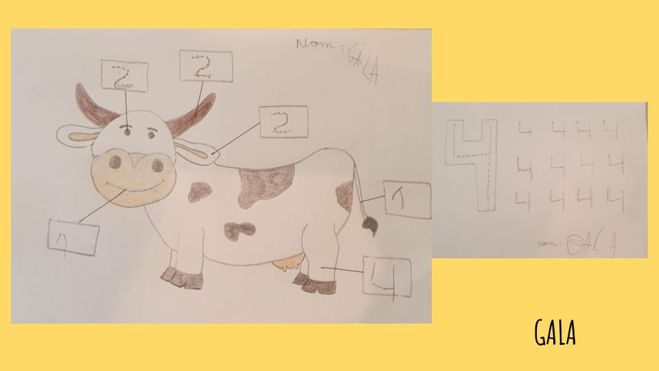 P3: LES PARTS DEL COS DE LA VACA