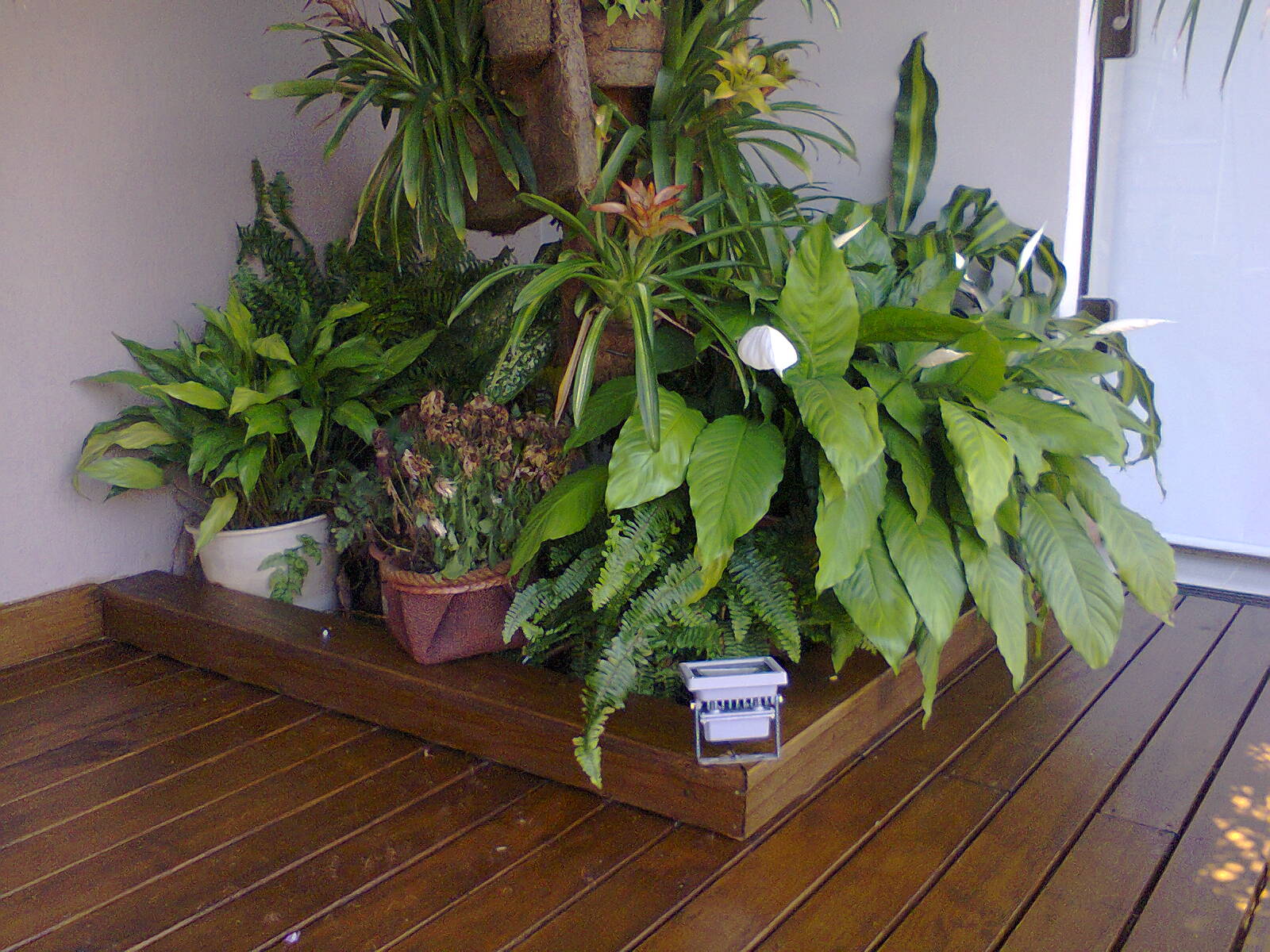 Wanderley Branga: Detalhes decorativos