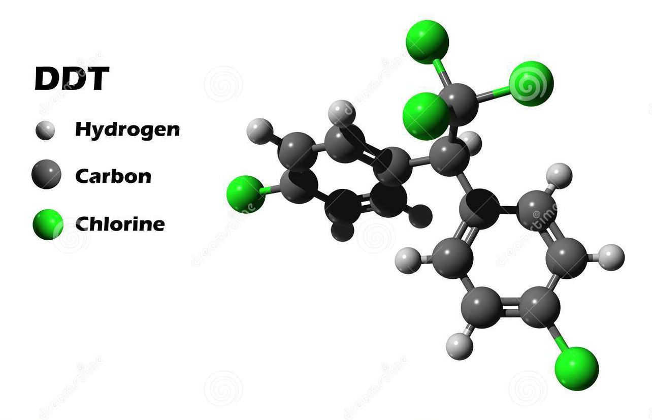 Joe's Science Corner: The Scientific Method