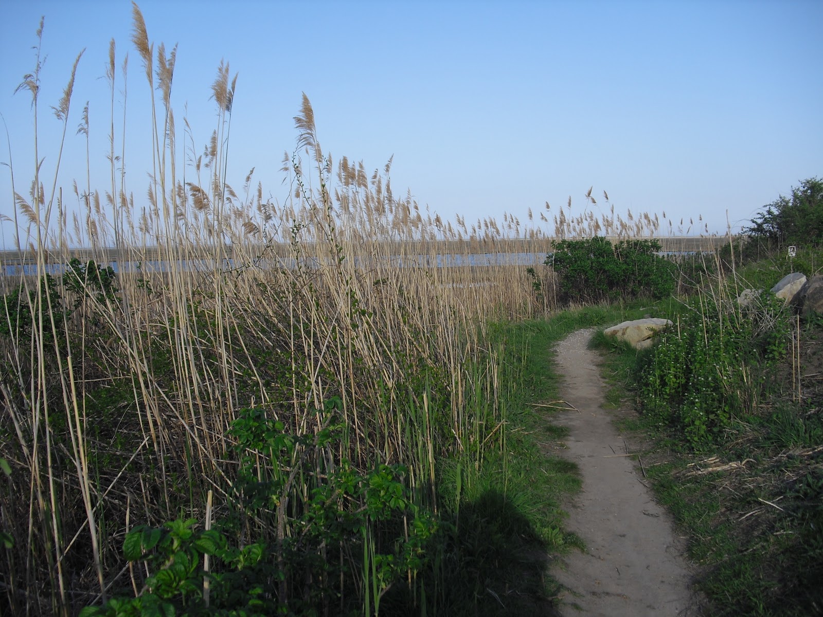 Stay on Route 6: Scenes From Cape Cod - US Route 6A