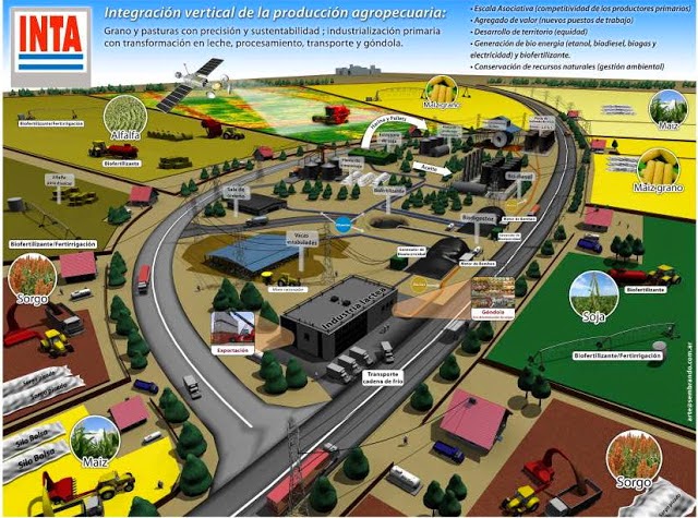 Proyecto Pragmalia: diciembre 2015
